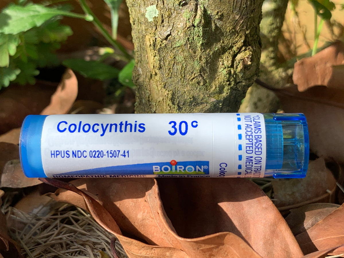 Colocynthis 30C, homeopathic remedy, abdominal cramps – I-NATURA Pte Ltd